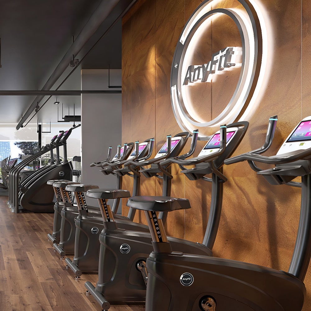 دوچرخه ایستاده Anyfit - AI3 - آیکان فیتنس